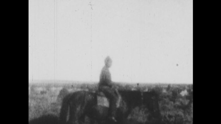 Billiluna bullocks coming down the Canning Stock Route : - MP4 54.9 MB