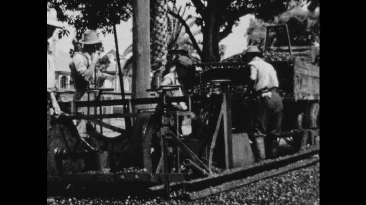 Sir Frederick Samson personal film - MP4 51.3 MB