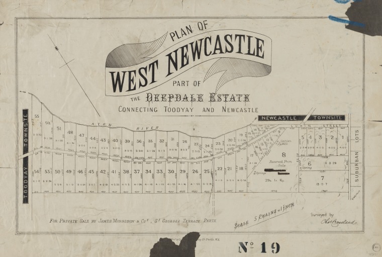 Plan of West Newcastle, part of the Deepdale Estate - JPG 99.5 KB