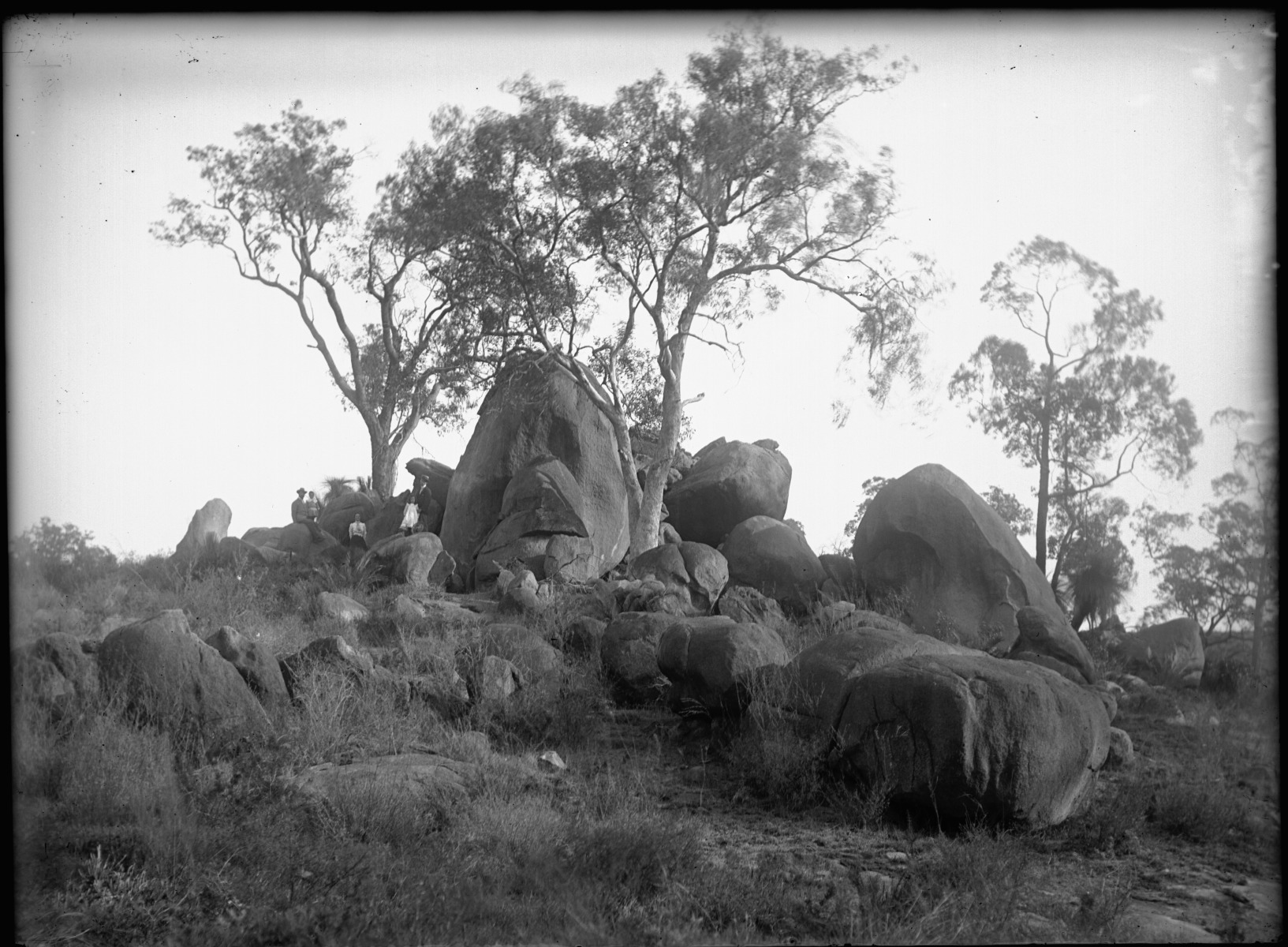 Picnicking in the Darling Range - State Library of Western Australia