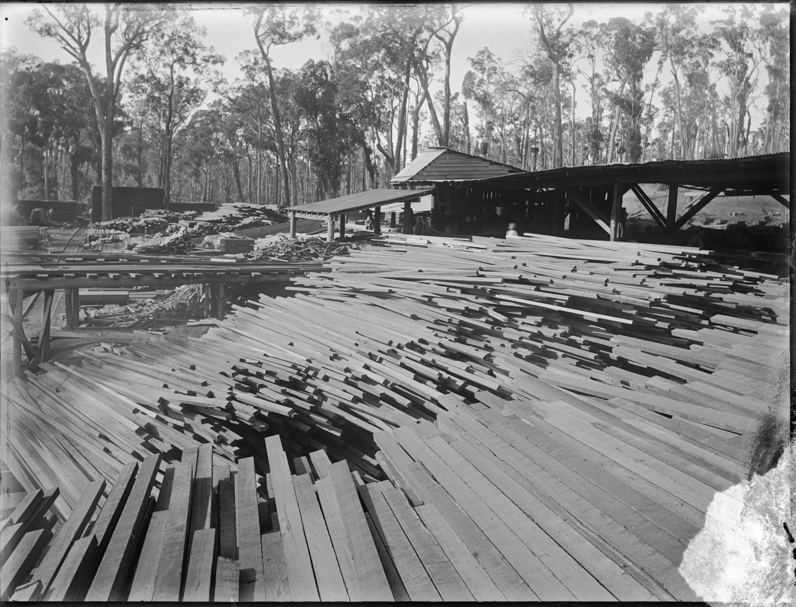 A timber mill at Waroona - JPG 568.6 KB