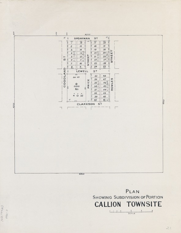 Plan showing subdivision of portion of Callion townsite - JPG 58.9 KB