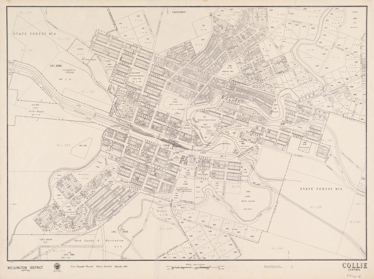 Collie central - JPG 139.6 KB