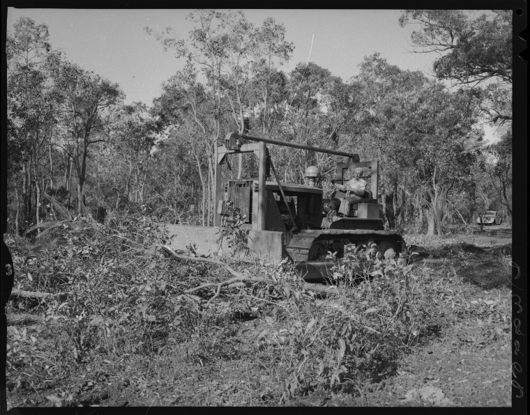 Demonstrating a bulldozer in the bush, 26 August 1952. - JPG 197.7 KB