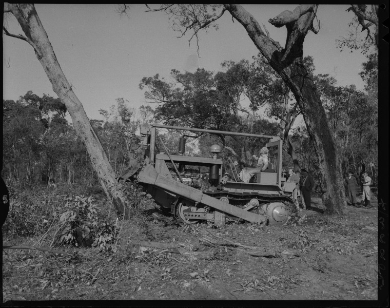 Demonstrating a bulldozer in the bush, 26 August 1952. - JPG 168.4 KB