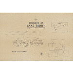 Townsite of Lake Biddy