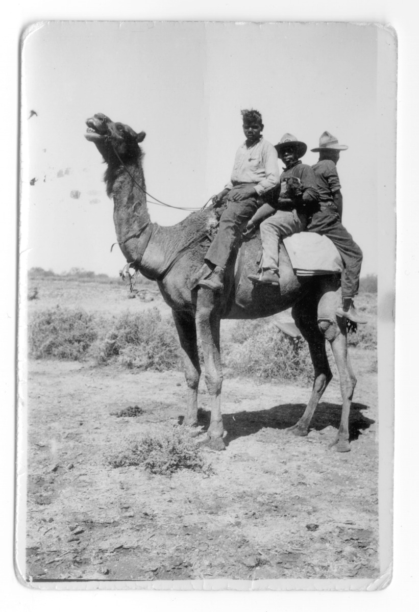 Native tracker on camel accompanying a police party along the Canning ...
