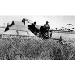 Man operating sunshine harvester [picture]