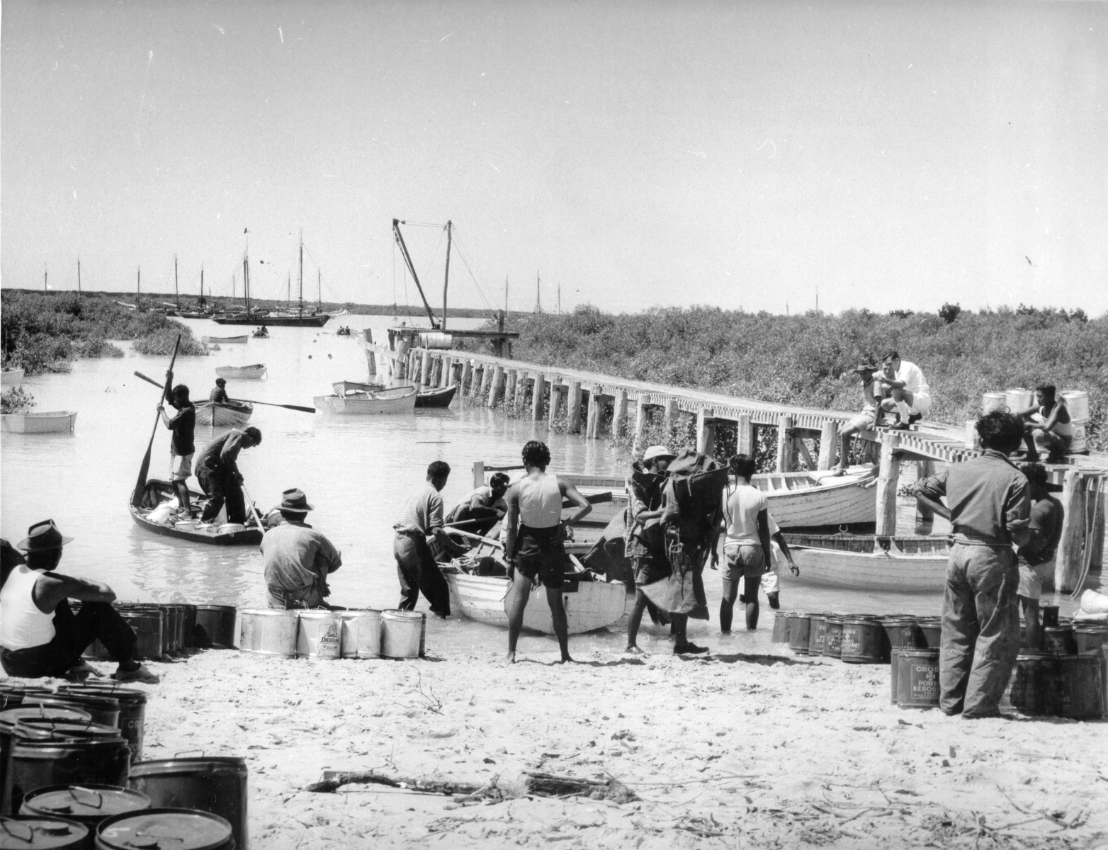 Pearling industry in Western Australia [picture] - JPG 471.2 KB