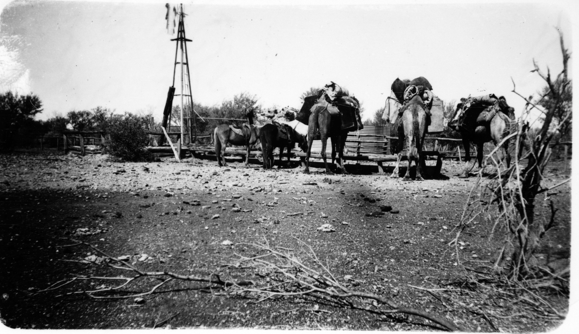 Along the Canning Stock Route from Billiluna Station to Carnegie ...