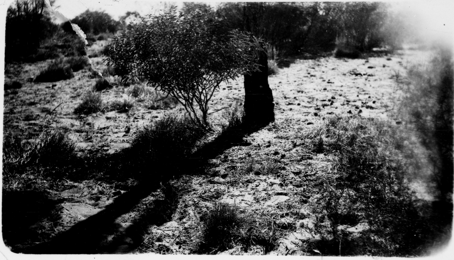 Along the Canning Stock Route from Billiluna Station to Carnegie ...