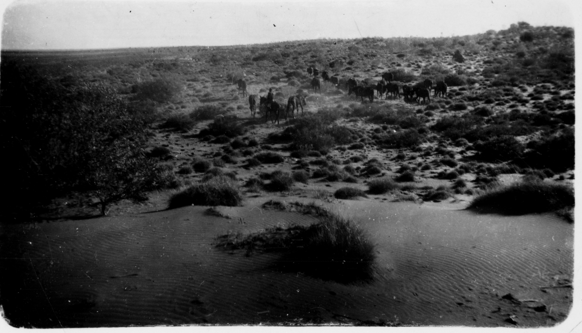 Along the Canning Stock Route from Billiluna Station to Carnegie ...