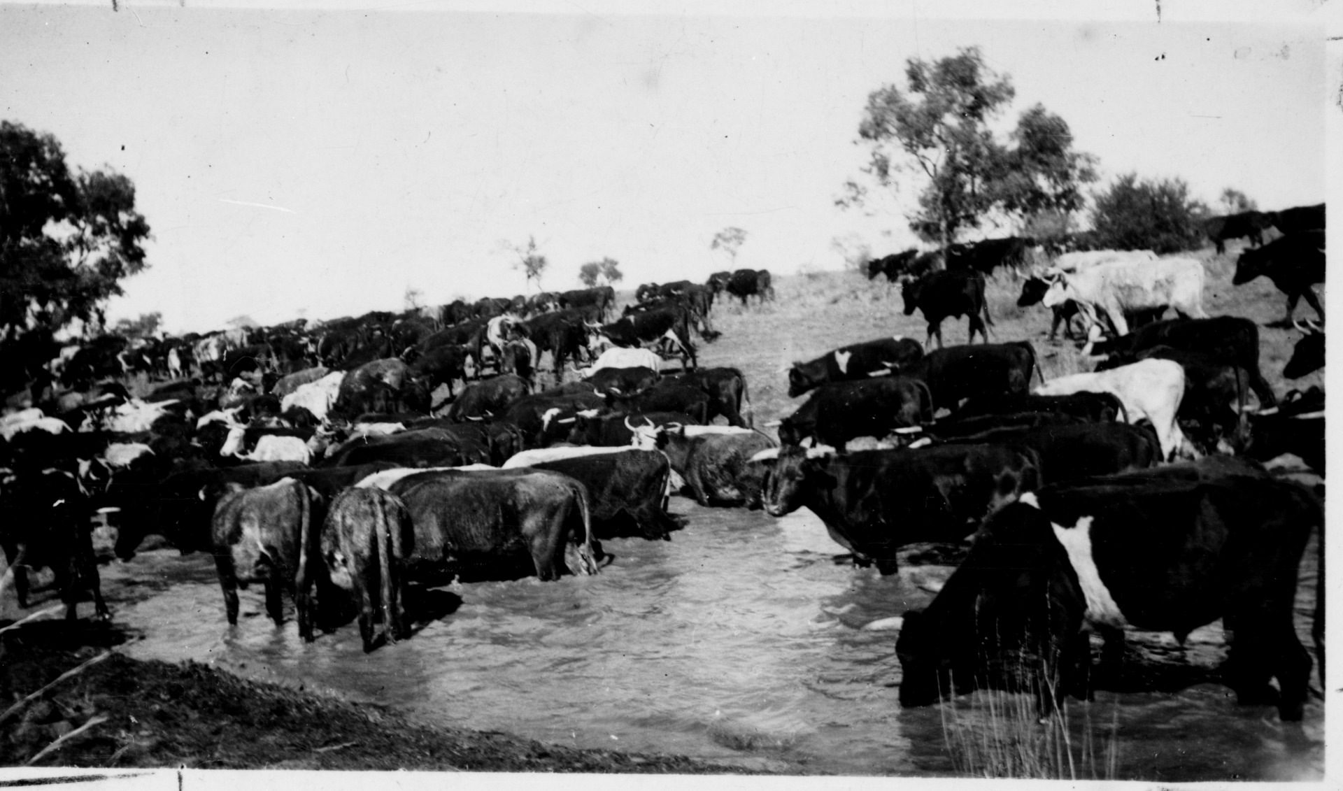 Along the Canning Stock Route from Billiluna Station to Carnegie ...