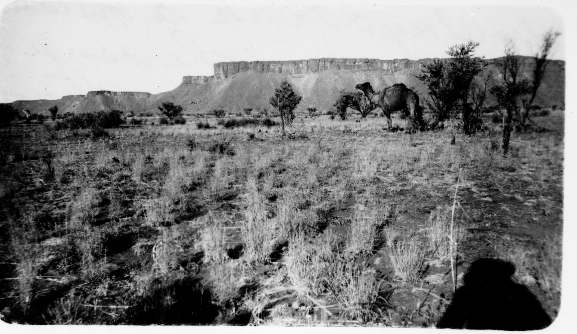 Along the Canning Stock Route from Billiluna Station to Carnegie ...