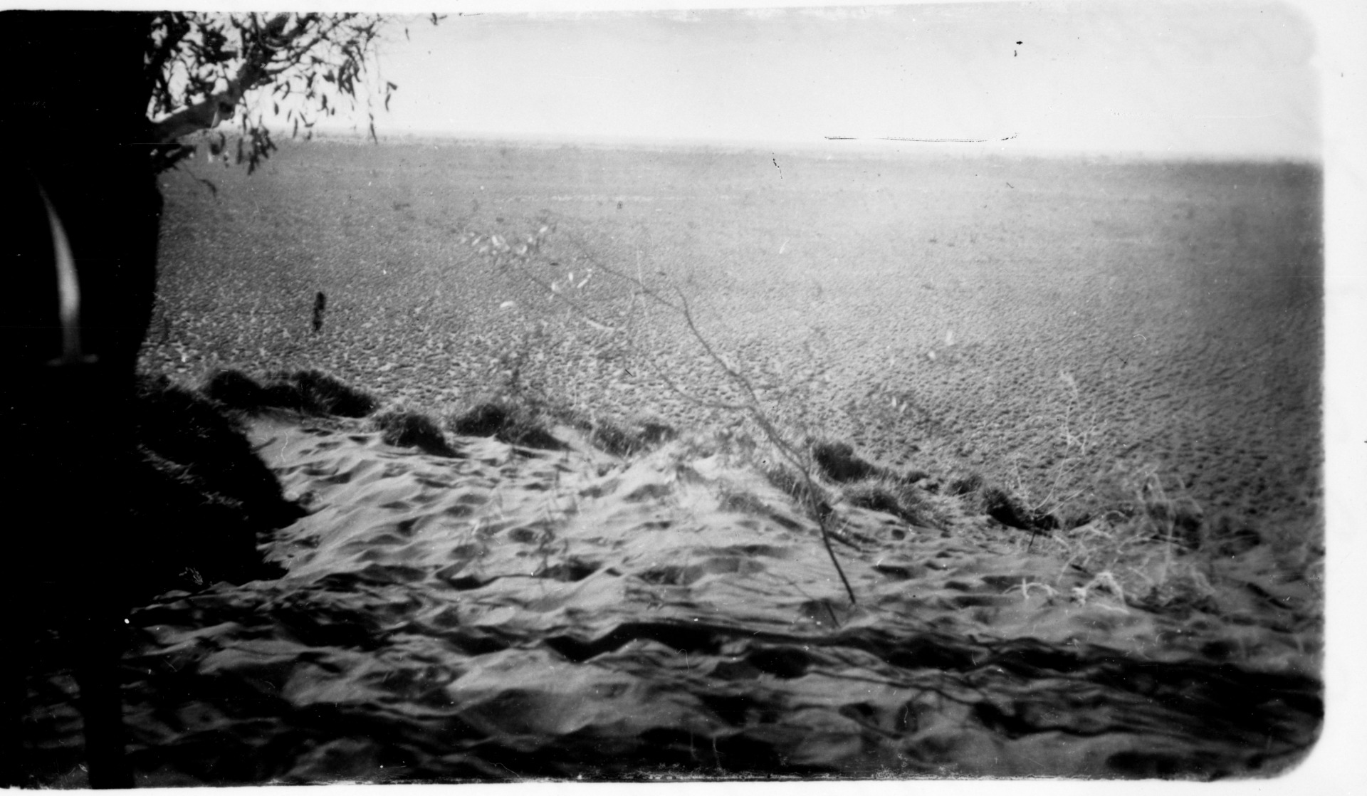 Along the Canning Stock Route from Billiluna Station to Carnegie ...