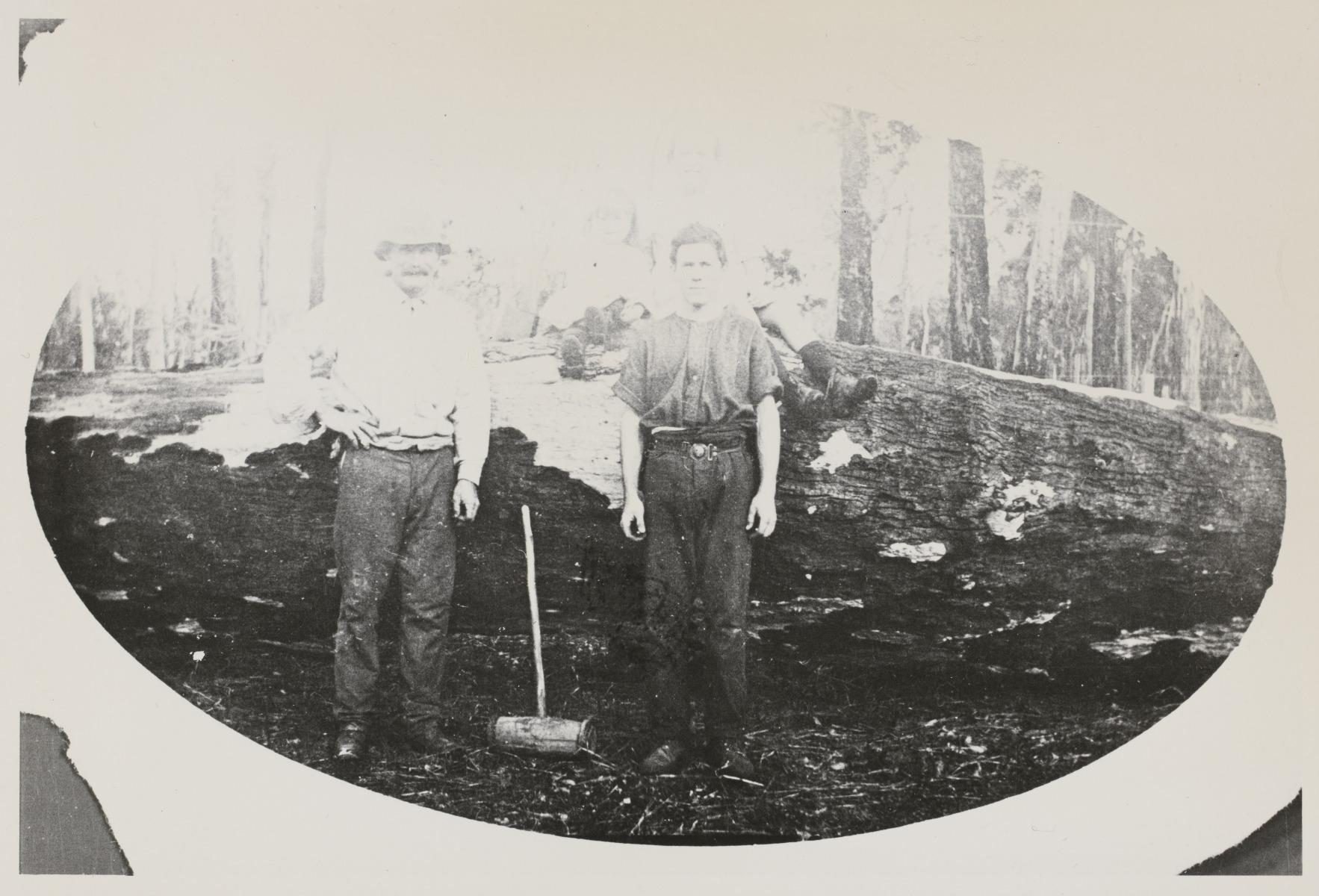 Strugnell family on Group Settlement Group 6, Nuralingup. - JPG 423.8 KB