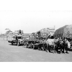Loading chaff, Meckering Railway Station, Dec. 1932 [picture]