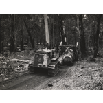 The modern method, tractor hauling jarrah logs, Hoffmans Mill, May 1936.
