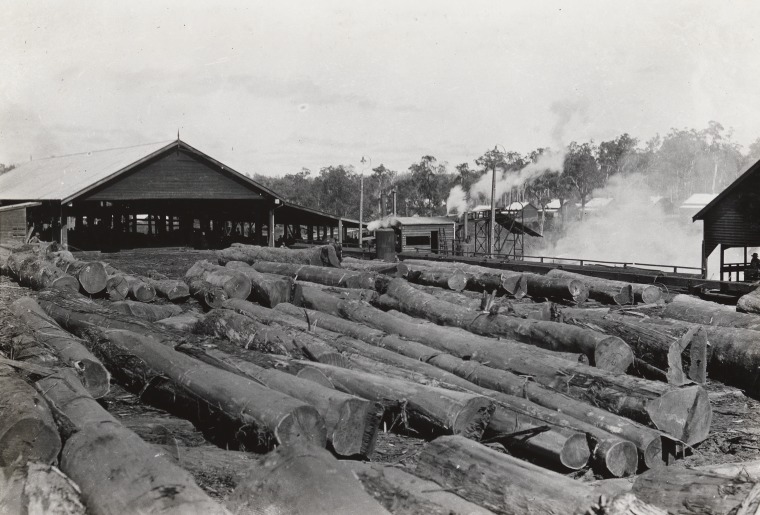 Jarrah logs in yard at Dwellingup State Mill, October 1935. - JPG 117.3 KB