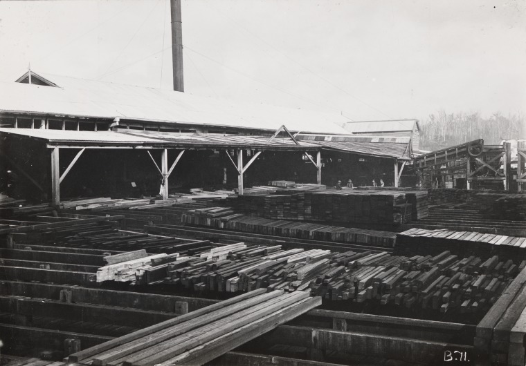 Pemberton State Saw Mill, August 1928. - JPG 98.5 KB