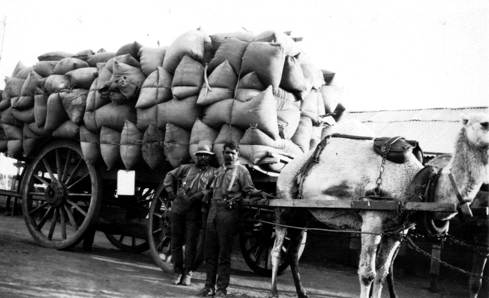 Two Aboriginal men leaning against loaded chaff cart [picture] - State ...