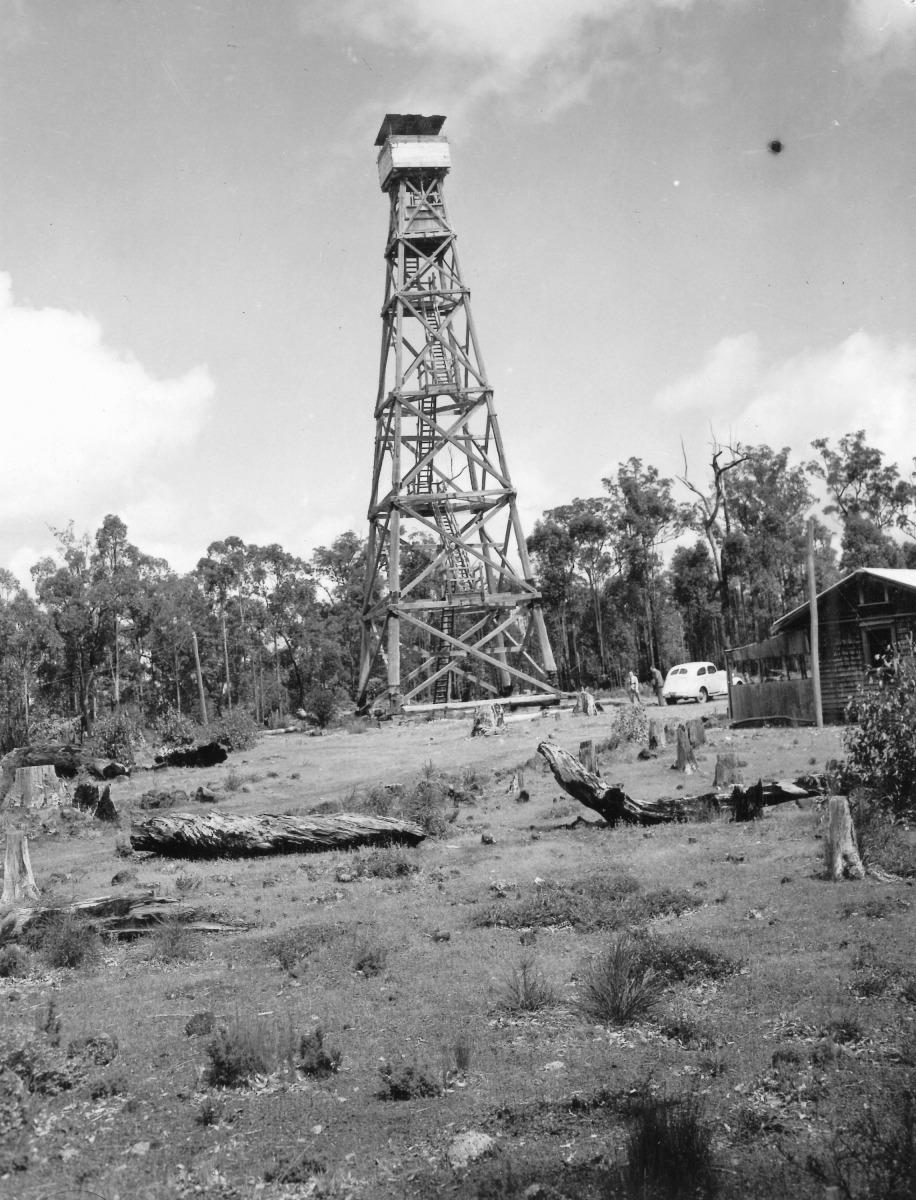 Forestry Dept. fire control tower, Collie [picture] - JPG 330.4 KB