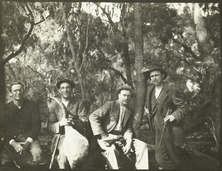 Professor E.O.G. Shann, Harold Boas, J. McCallum Smith and Abe Herman ...