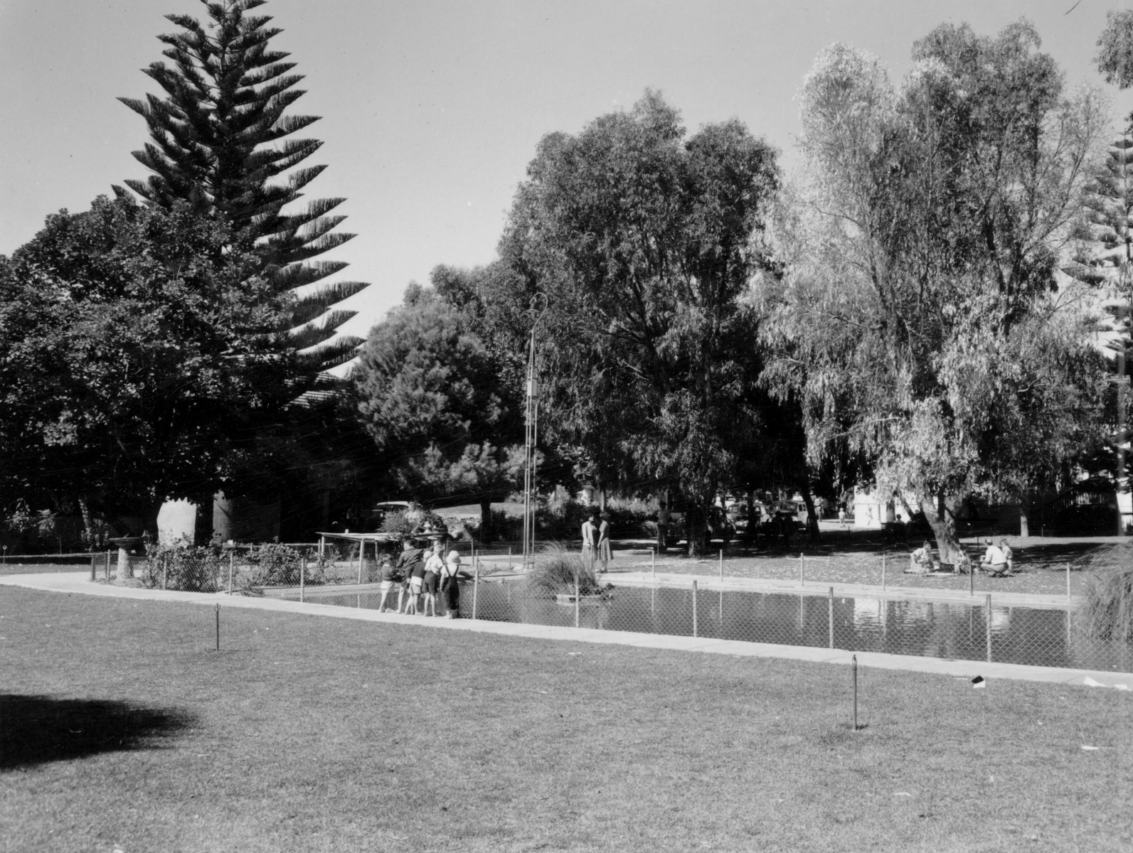Pond at rear of Rockingham Hotel, Rockingham [picture] - JPG 605.1 KB