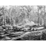 Bush landing, Shannon River Mill [picture]