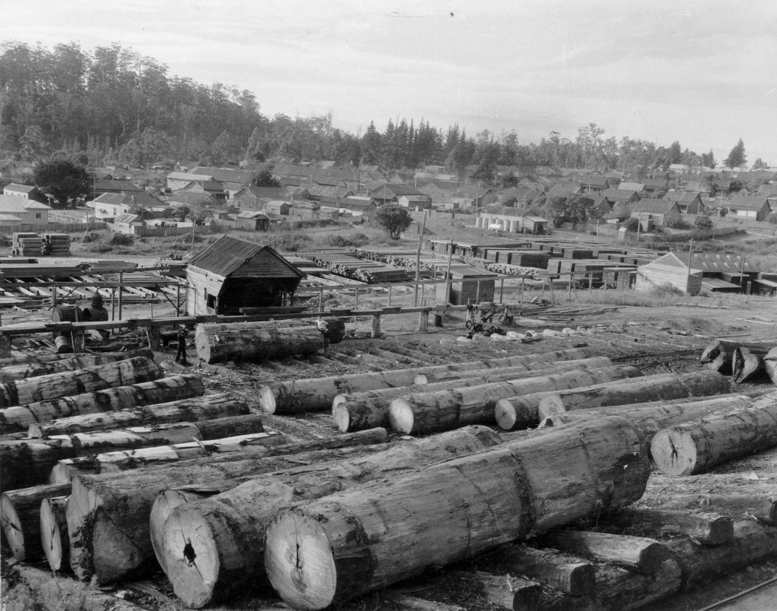 Log landing, Pemberton State Saw mill [picture] - JPG 501.7 KB