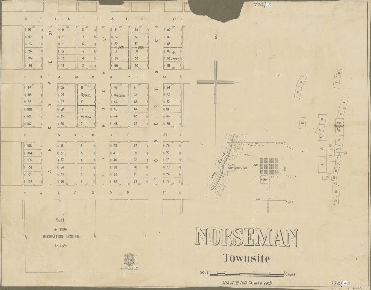 Norseman townsite - State Library of Western Australia