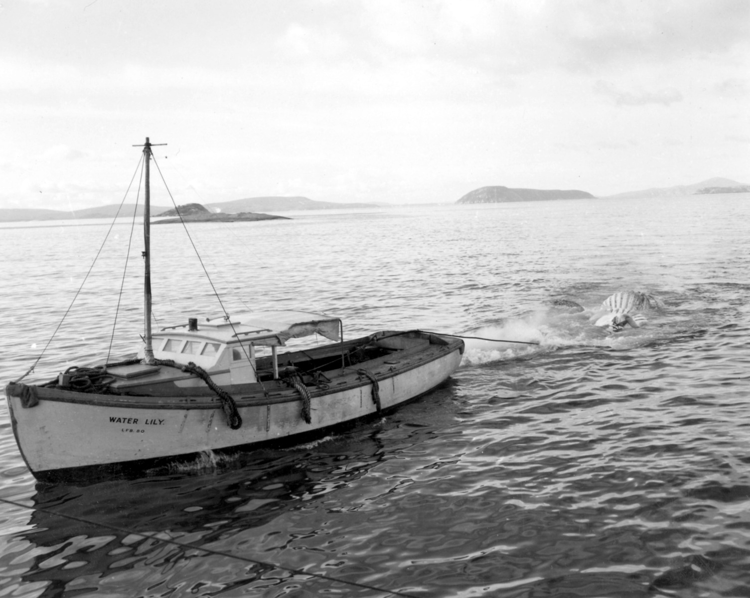 Whaling station, Frenchman Bay [picture] - JPG 292.3 KB