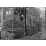 Summer fun at Pemberton swimming pool