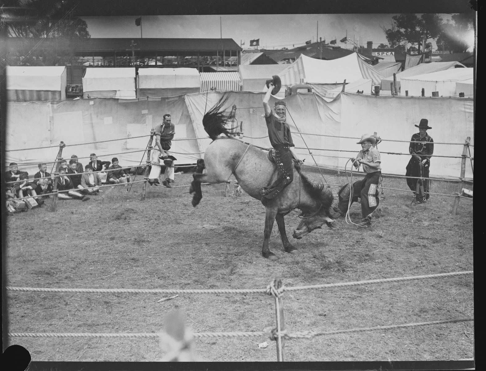 Equestrian events and rodeo at Perth Royal Show - JPG 538.9 KB