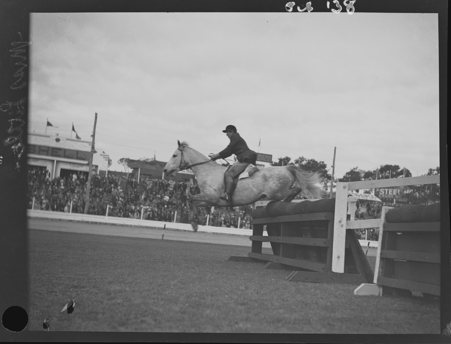 Equestrian events and rodeo at Perth Royal Show - JPG 259.7 KB