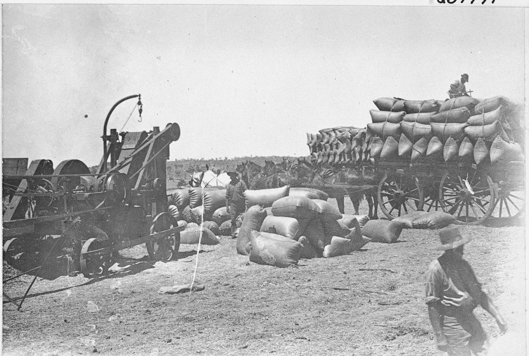 Wagon load of chaff, Cuballing - JPG 888.4 KB