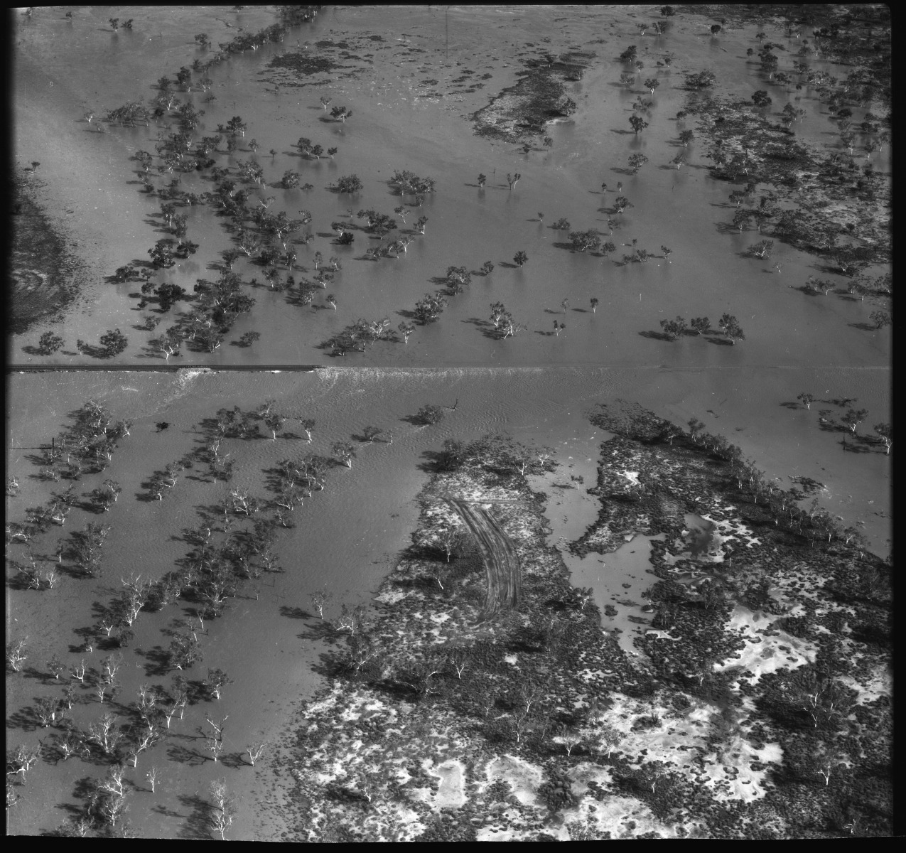 Aerial photographs of the damage caused by Cyclone Shirley to the ...