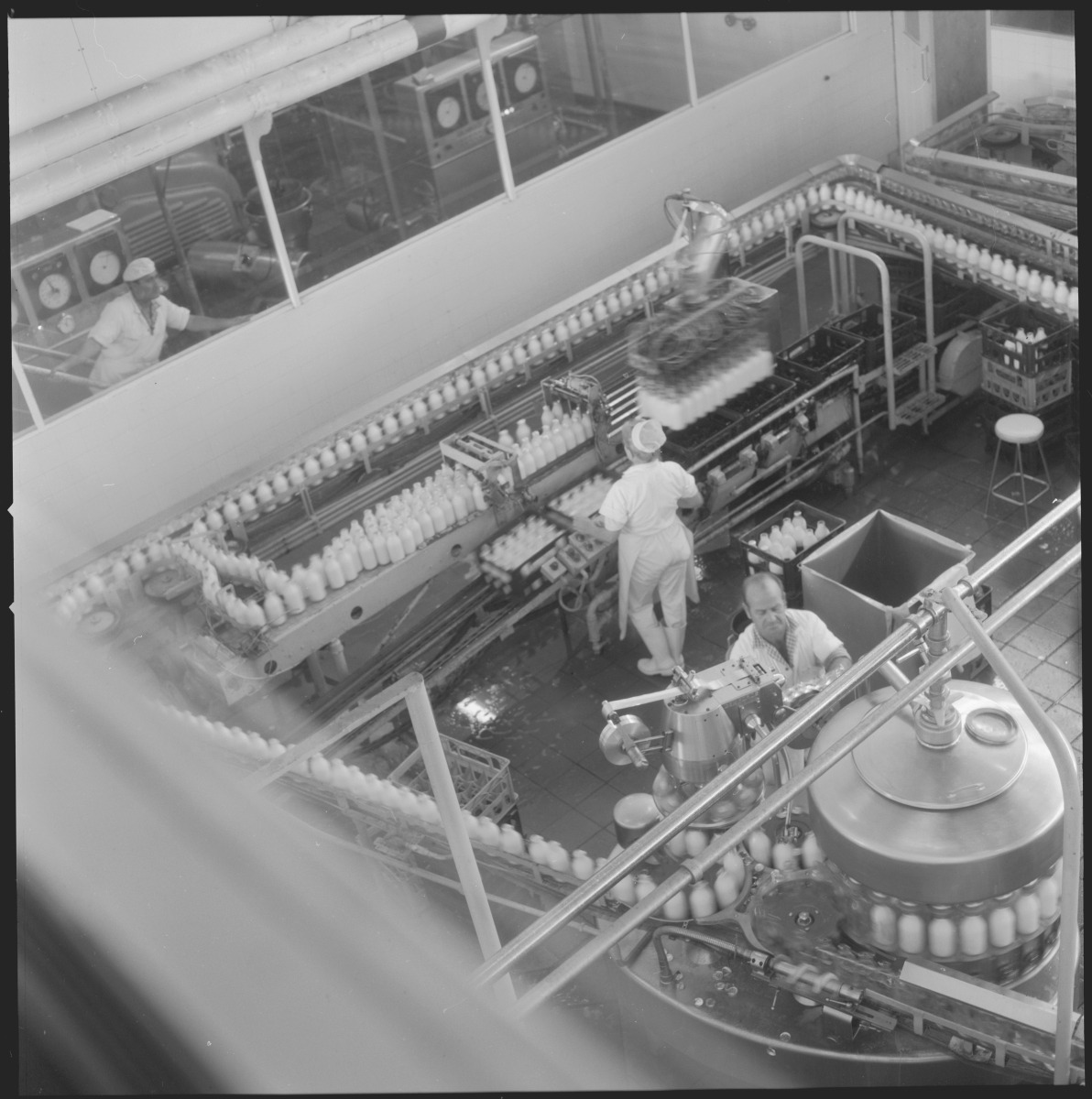 Milk production at Masters Dairy - JPG 243.9 KB