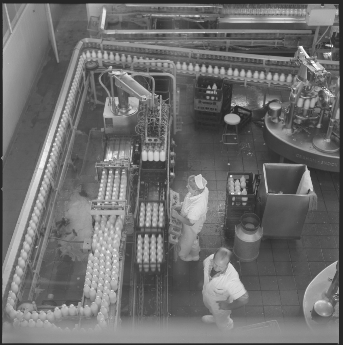 Milk production at Masters Dairy - State Library of Western Australia