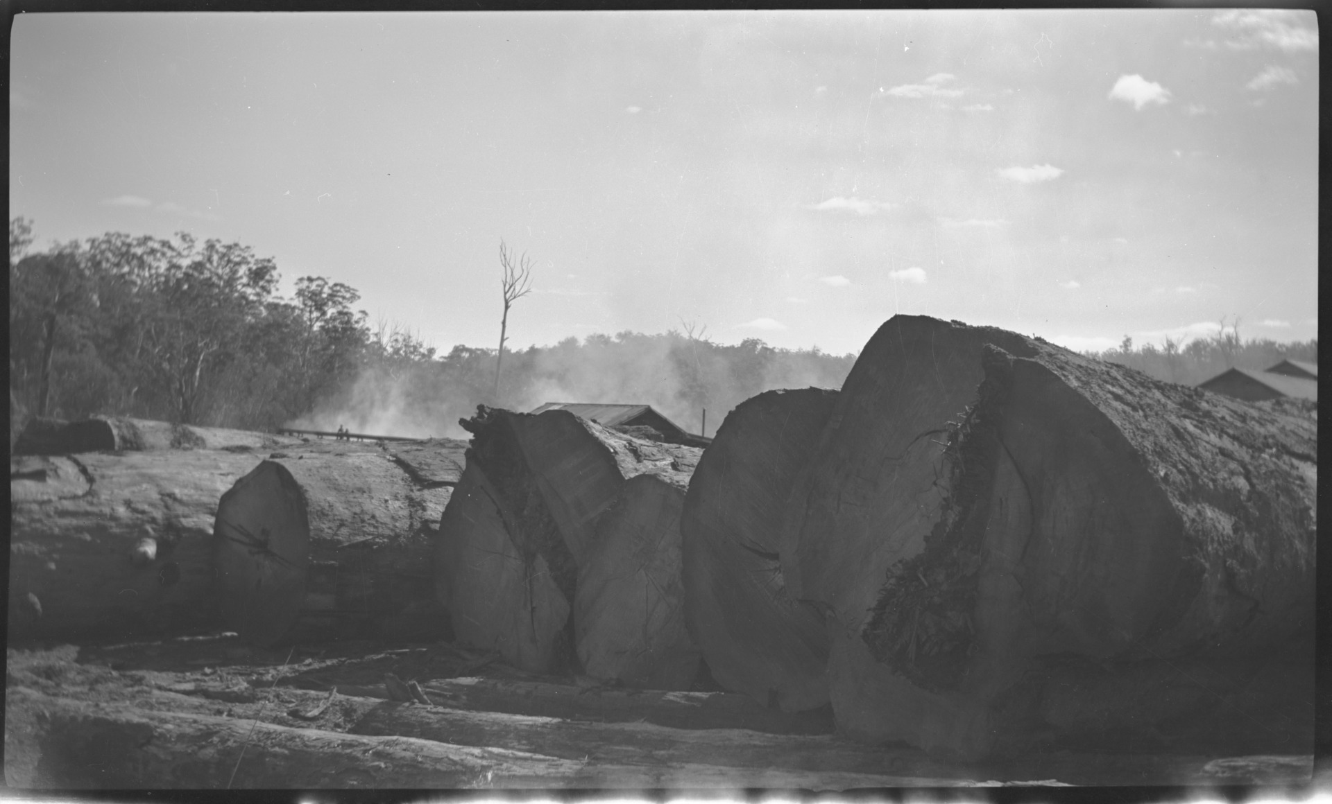 Quinninup Sawmill - JPG 283.9 KB