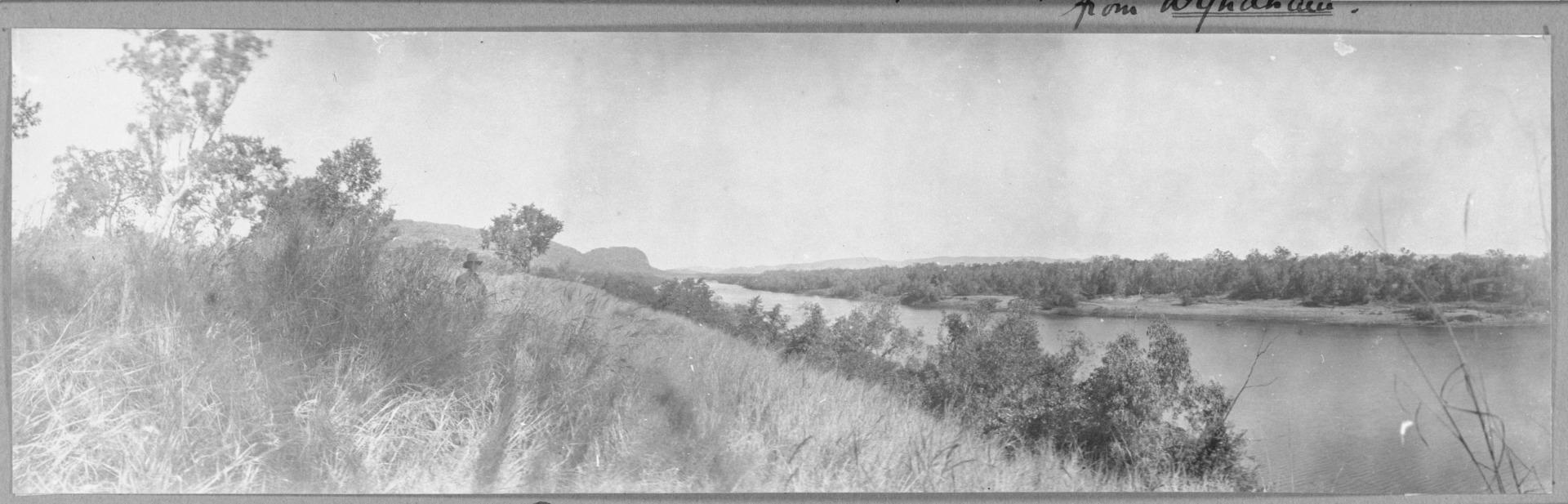 Ord River about twelve miles up from Ivanhoe homestead - JPG 275.3 KB
