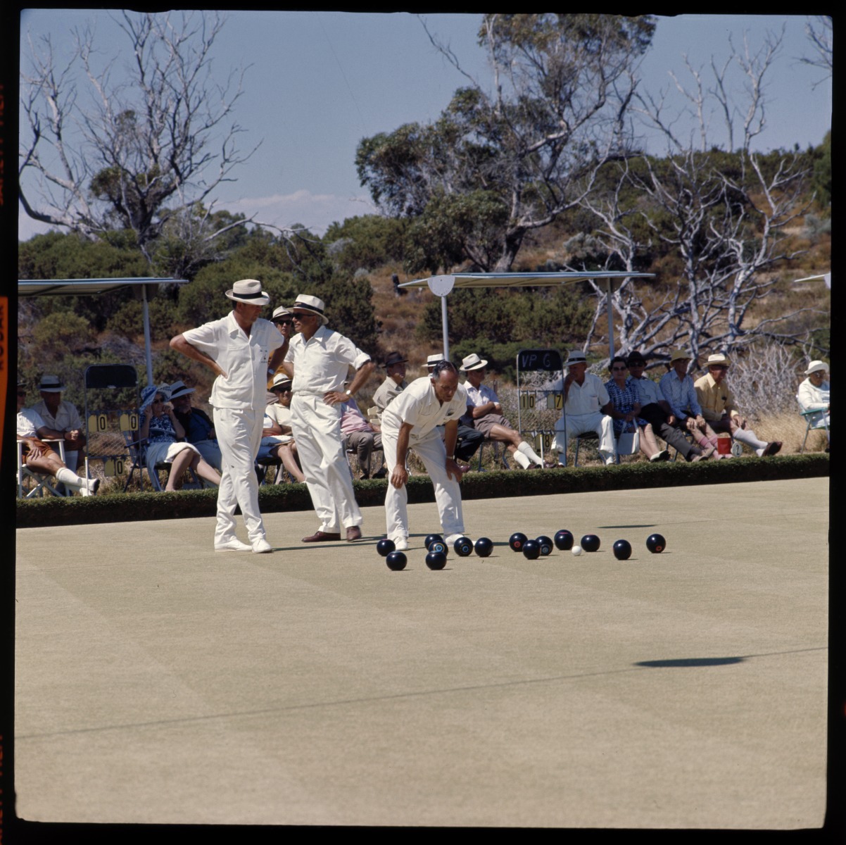 Swanbourne Bowling Club and Perth Bowling Club - JPG 342.9 KB