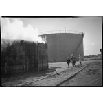 Whaling Station at Babbage Island, Carnarvon