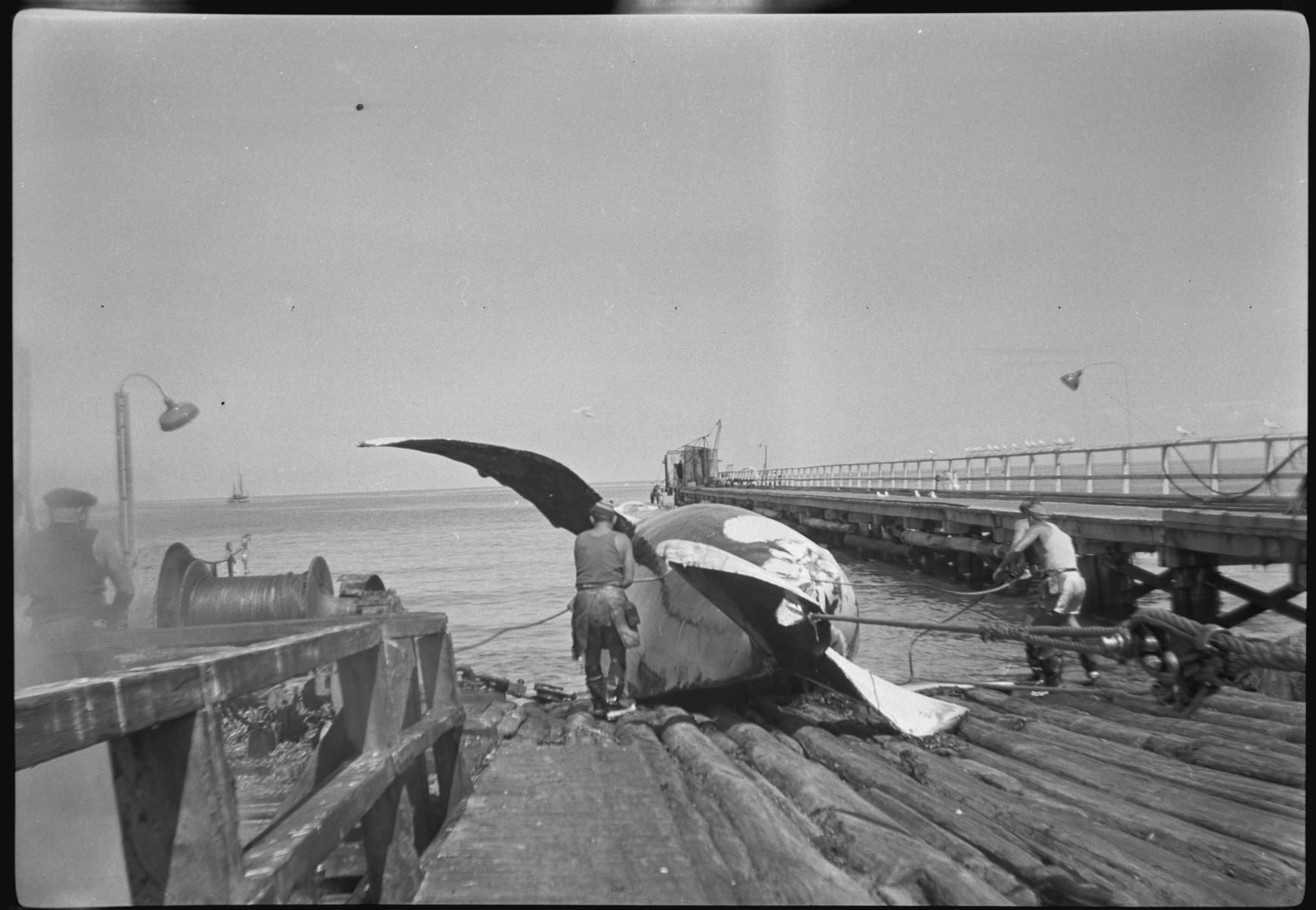Whaling Station at Babbage Island, Carnarvon - JPG 479.1 KB