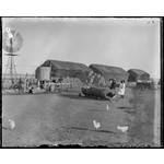 Visit to 'Bonniefield'