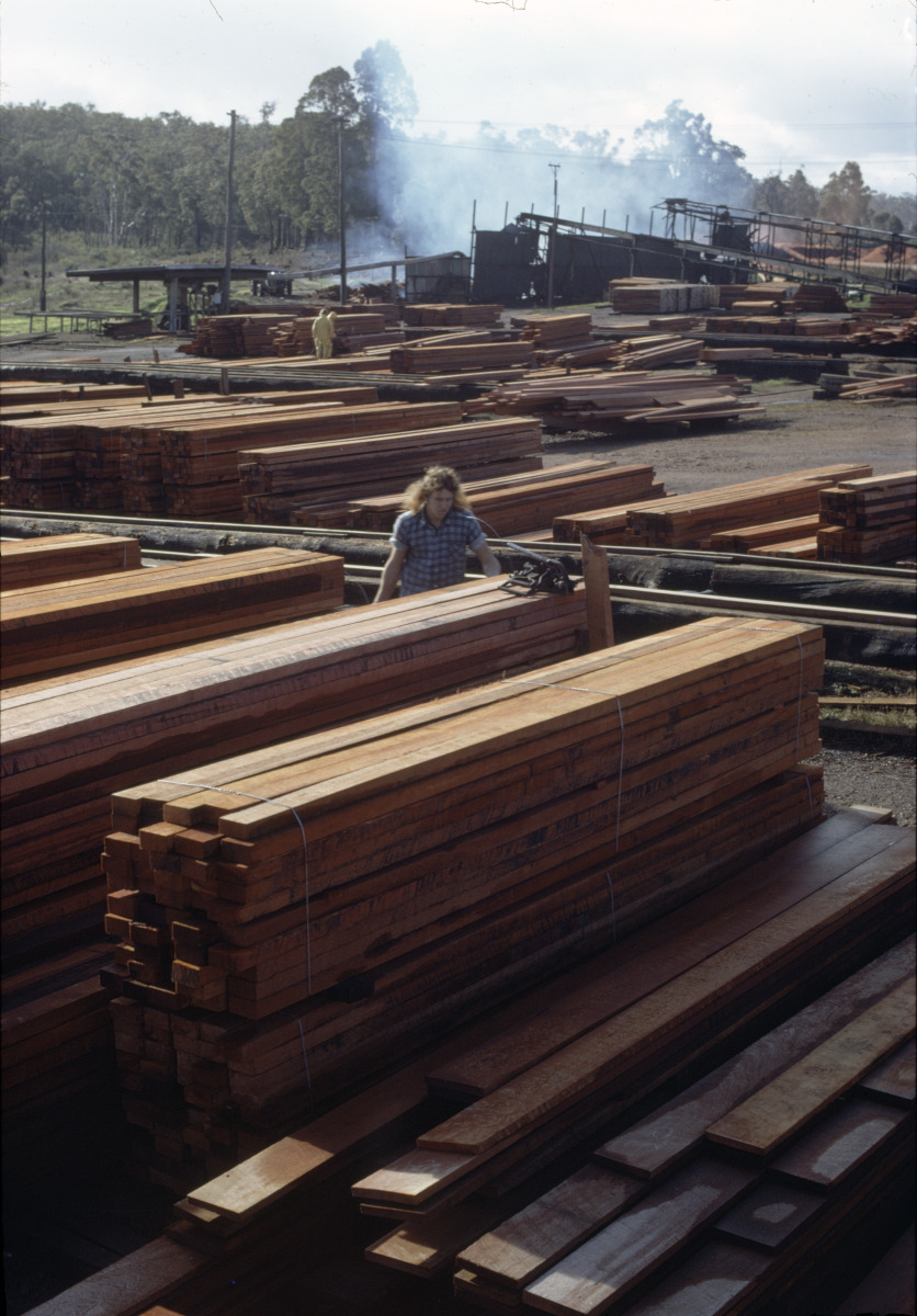 Timber saw mills in the south west - JPG 286.7 KB
