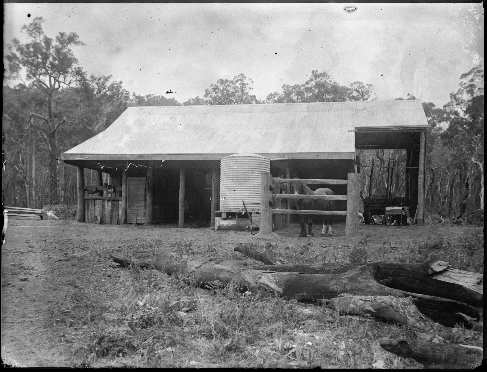 Group Settlement farm buildings and animals - State Library of Western ...