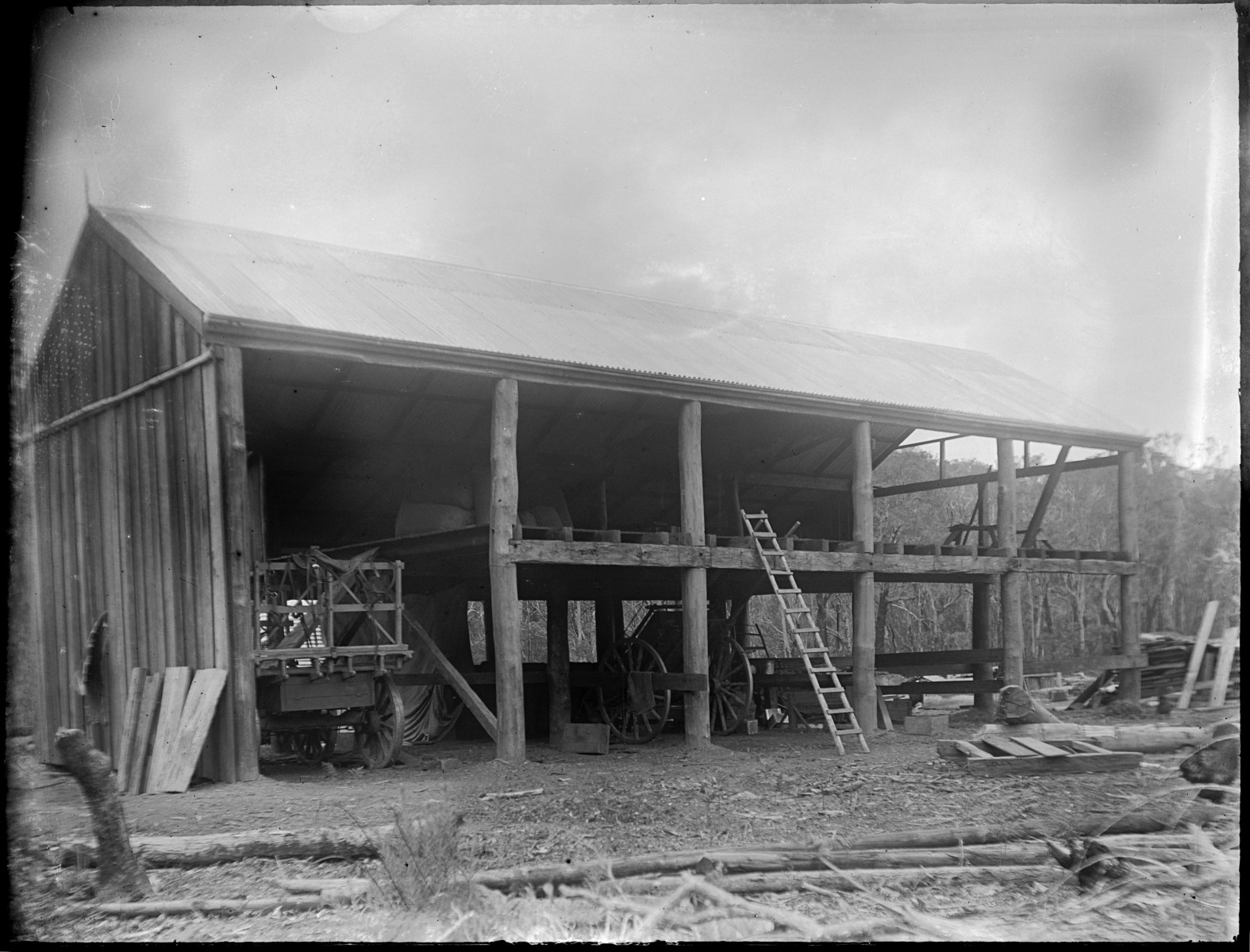 Group Settlement farm buildings and animals - JPG 401.9 KB