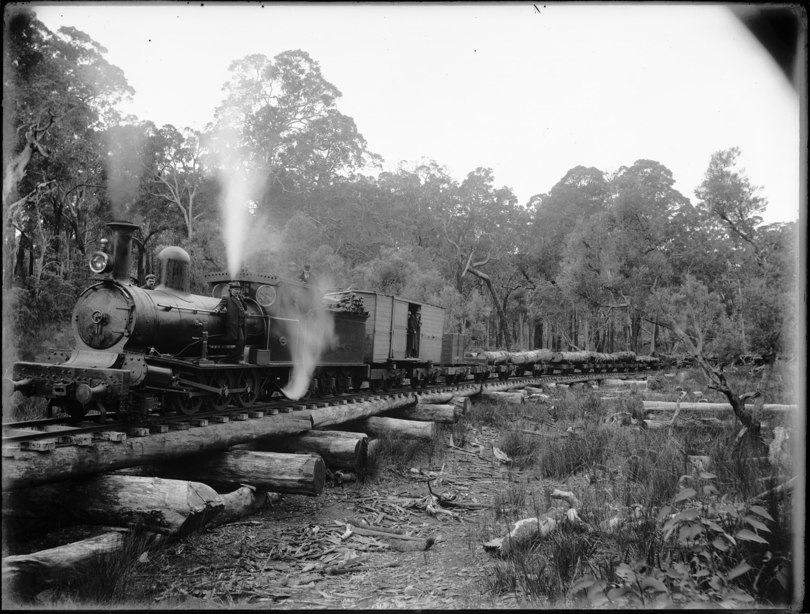 Steam locomotive 'Kalgoorlie' on a log train at Karridale - JPG 534.3 KB