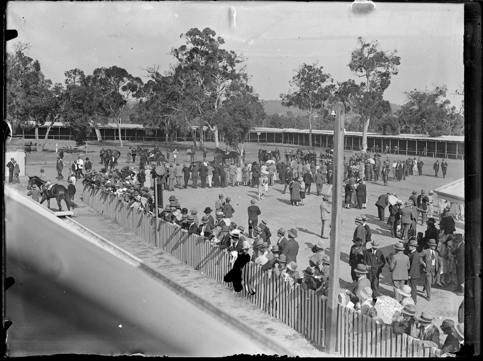 Helena Vale Racecourse saddling yard and stables - JPG 587.7 KB